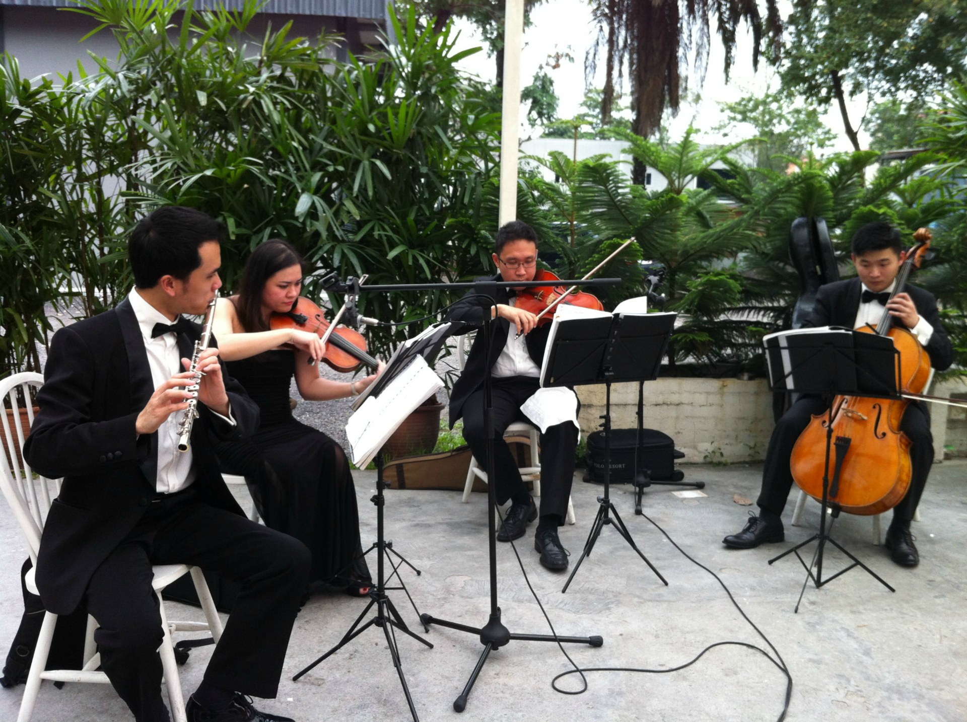 Chateau De Caffeinees - Photo Gallery