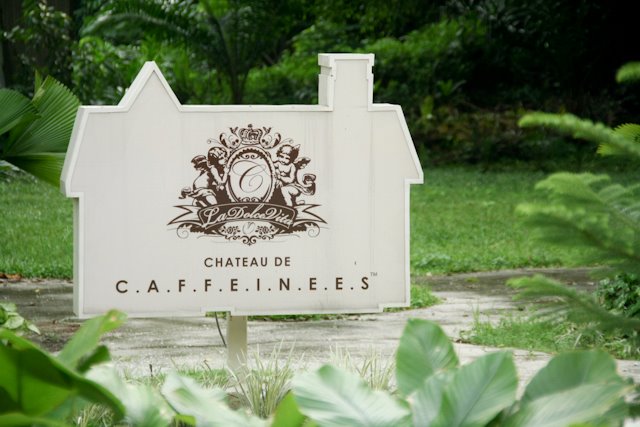 Chateau De Caffeinees - Photo Gallery