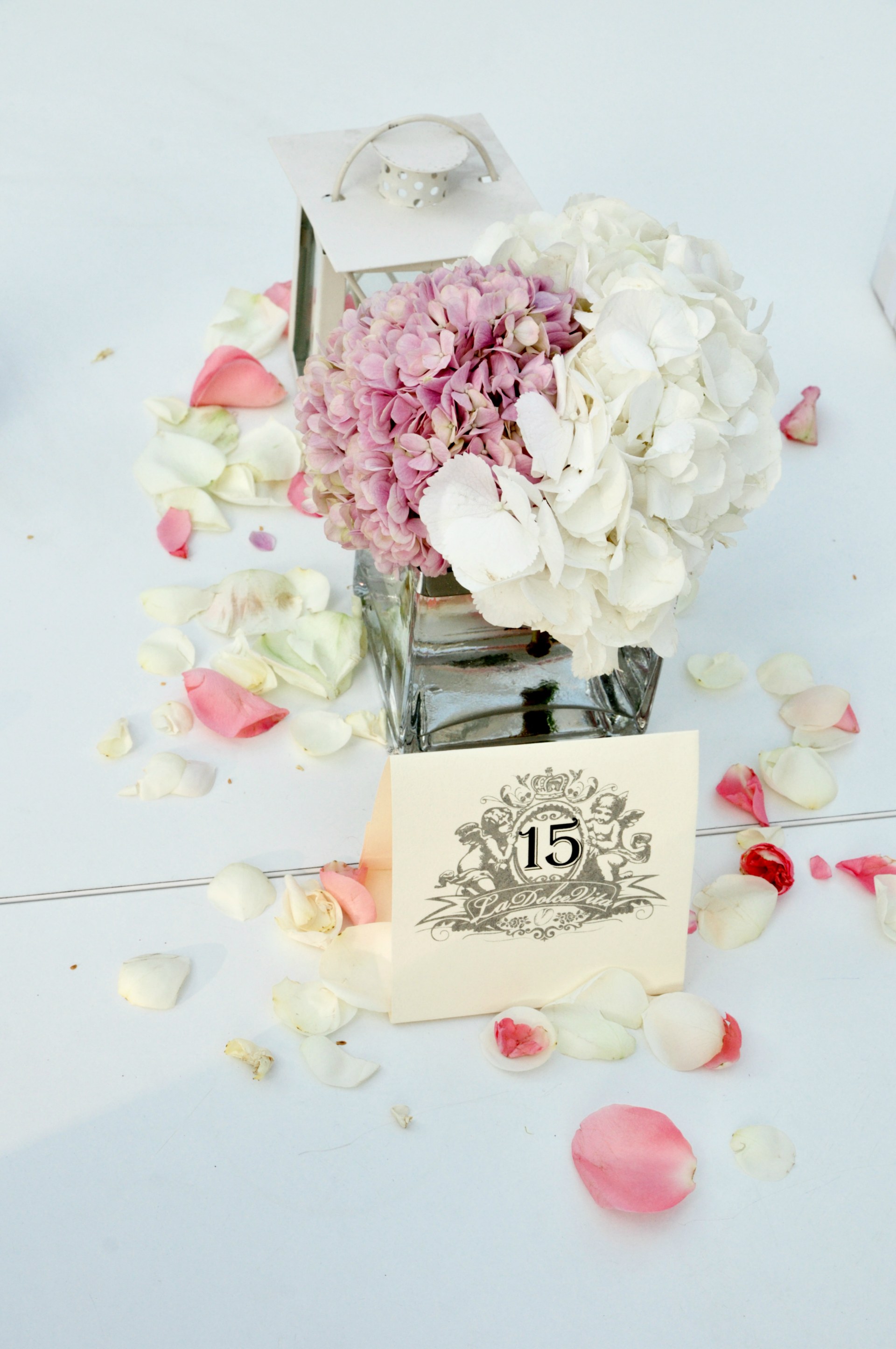 Chateau De Caffeinees - Photo Gallery